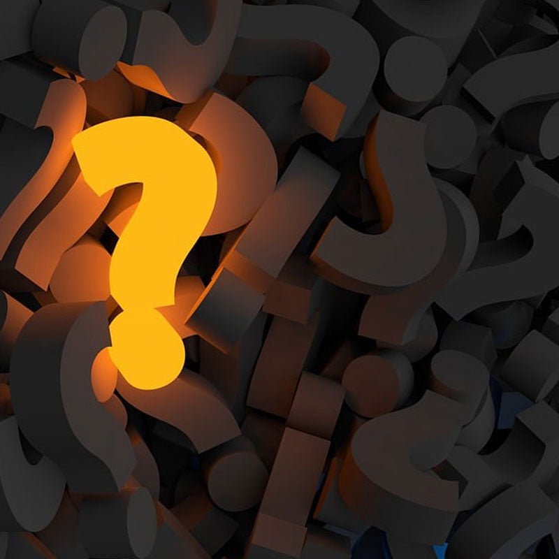 Comparative Analysis: Strap Lizard vs. Retractable Ratchet Straps